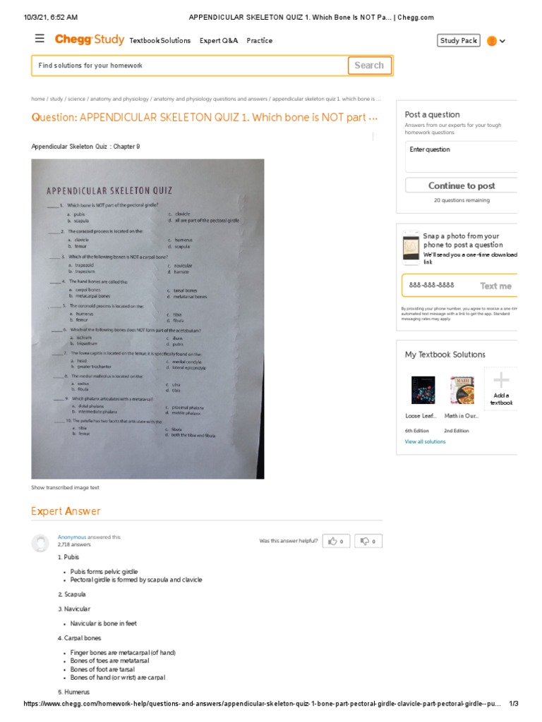 Appendicular Skeleton Quiz 1 | PDF | Hand | Musculoskeletal System