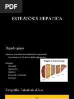 Cápsula de Glisson | PDF | Tejido adiposo | Riñón