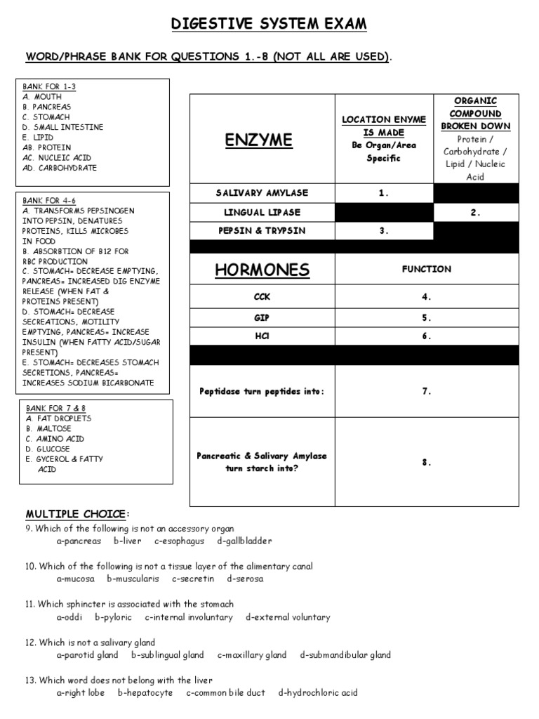 Digestive System Exam | PDF | Stomach | Digestion