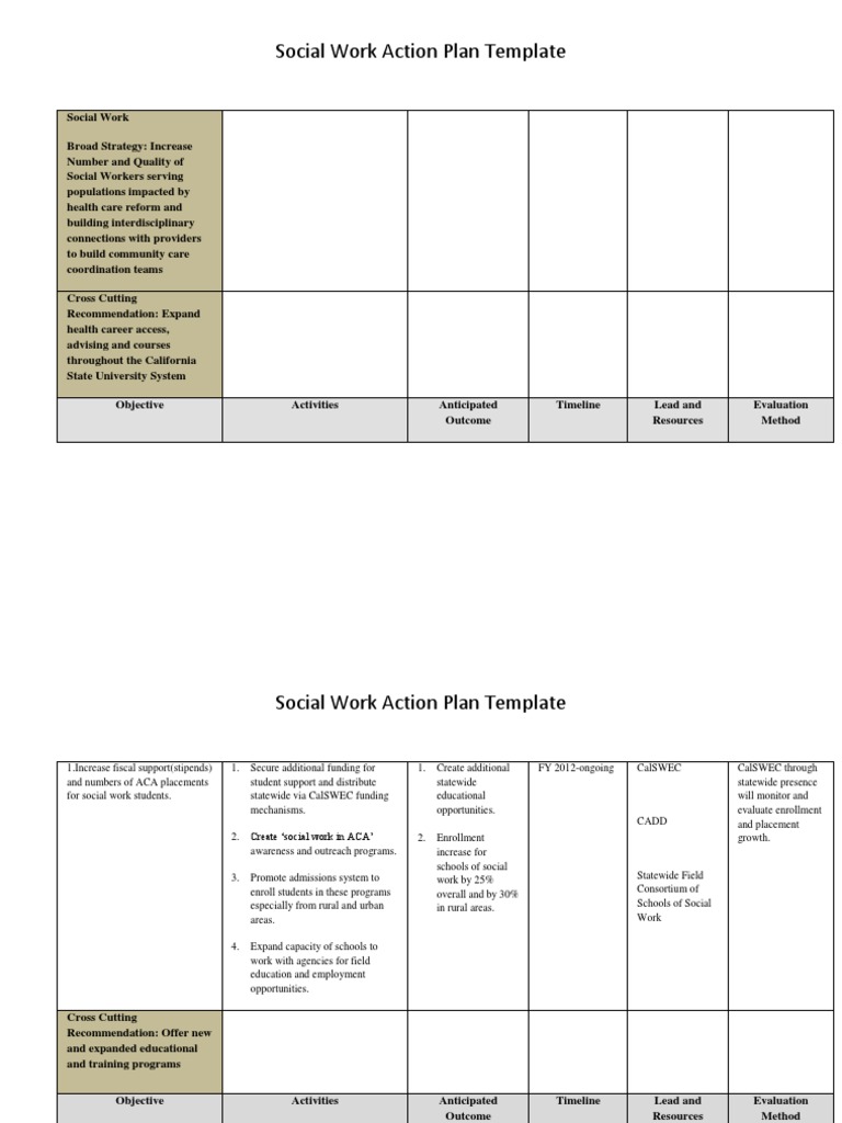 Social Work Action Plan Overview | PDF | Social Work | Evaluation