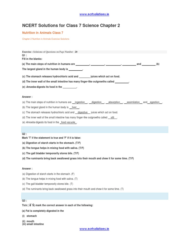 NCERT Solutions For Class 7 Science Chapter 2 | PDF | Digestion | Small ...
