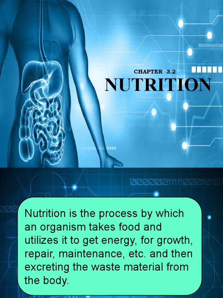Nutrition (Digestive System) | PDF | Digestion | Human Digestive System