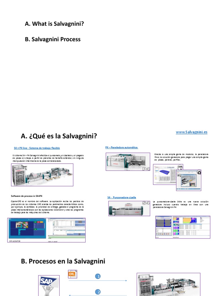 Salvagnini Process v3.1 | PDF | Informática | Ingeniería de software