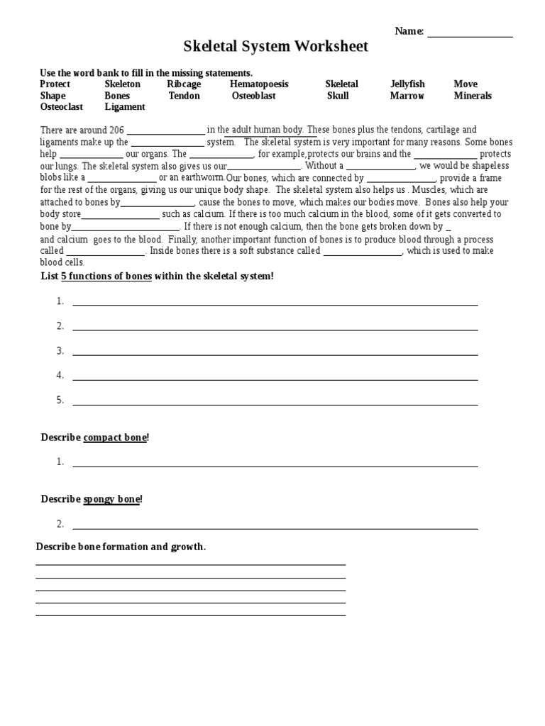 Skeletal System Worksheet: Name | PDF | Bone | Skeleton