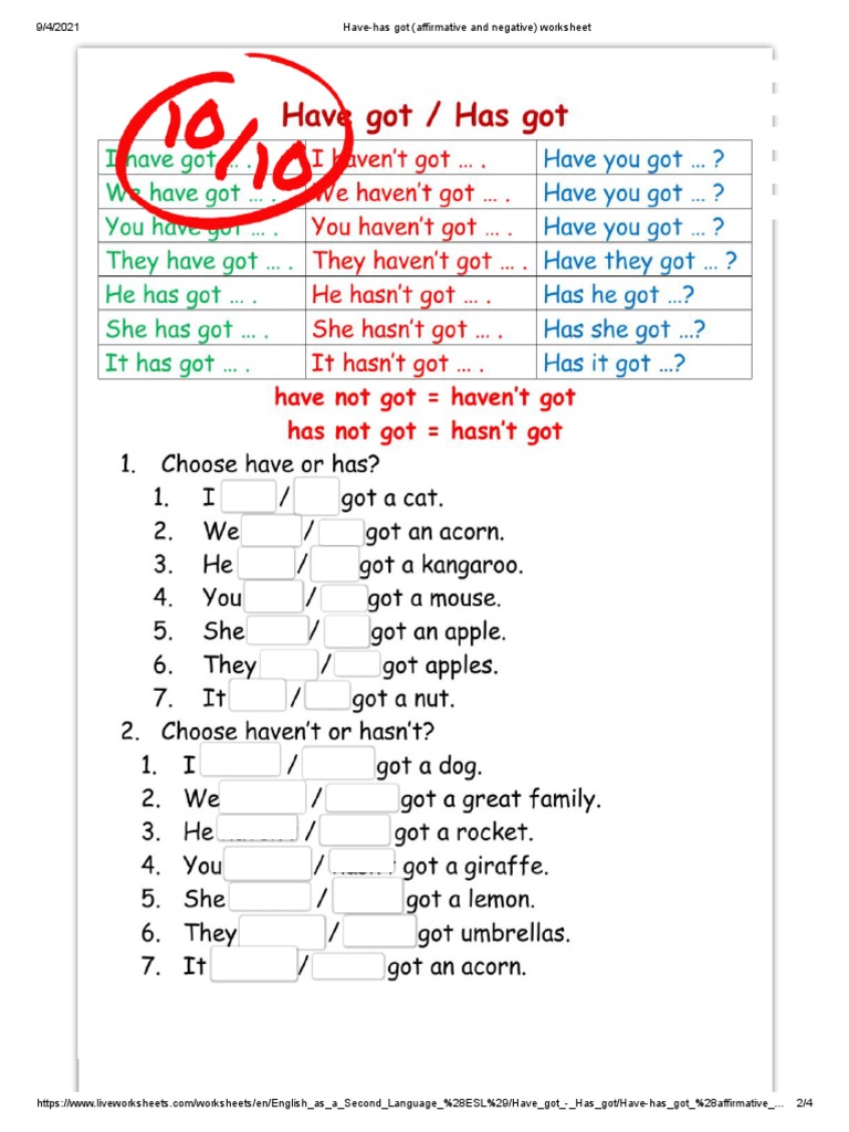Have-Has Got (Affirmative and Negative) Worksheet | PDF