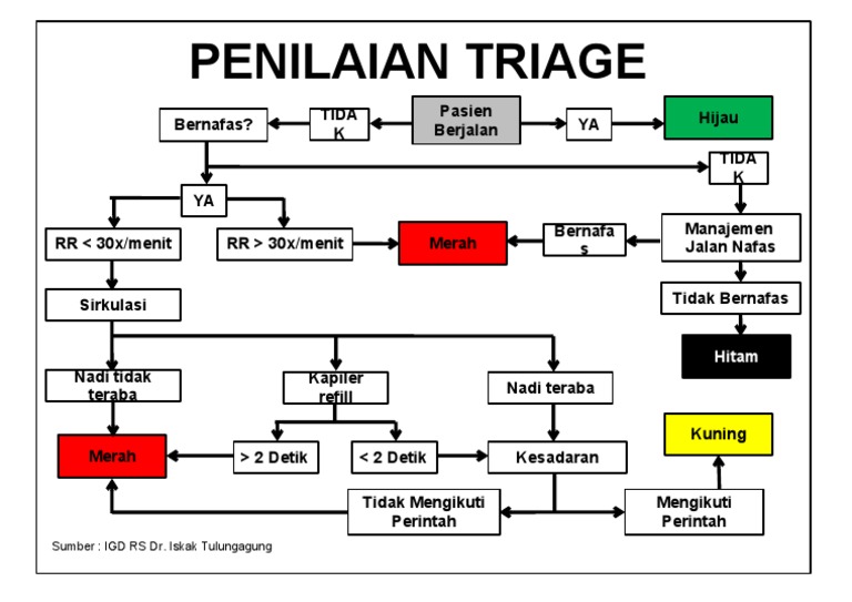 Alue Penilaian Triase | PDF