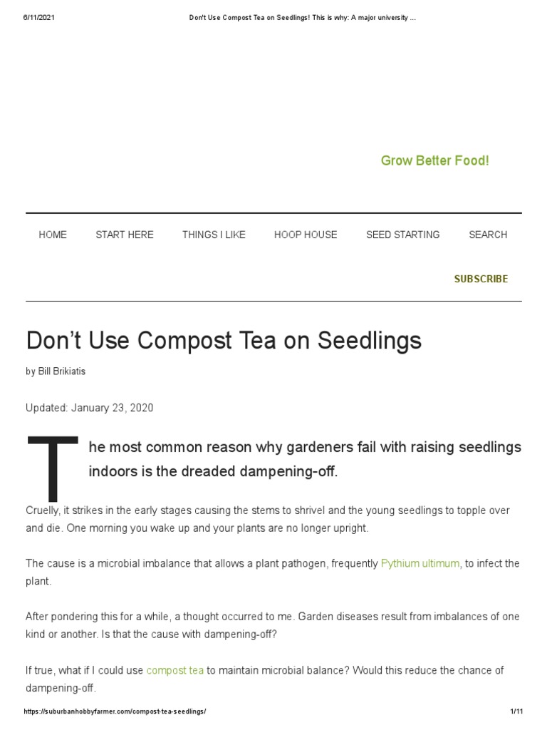 Don't Use Compost Tea On Seedlings! This Is Why - A Major University ...