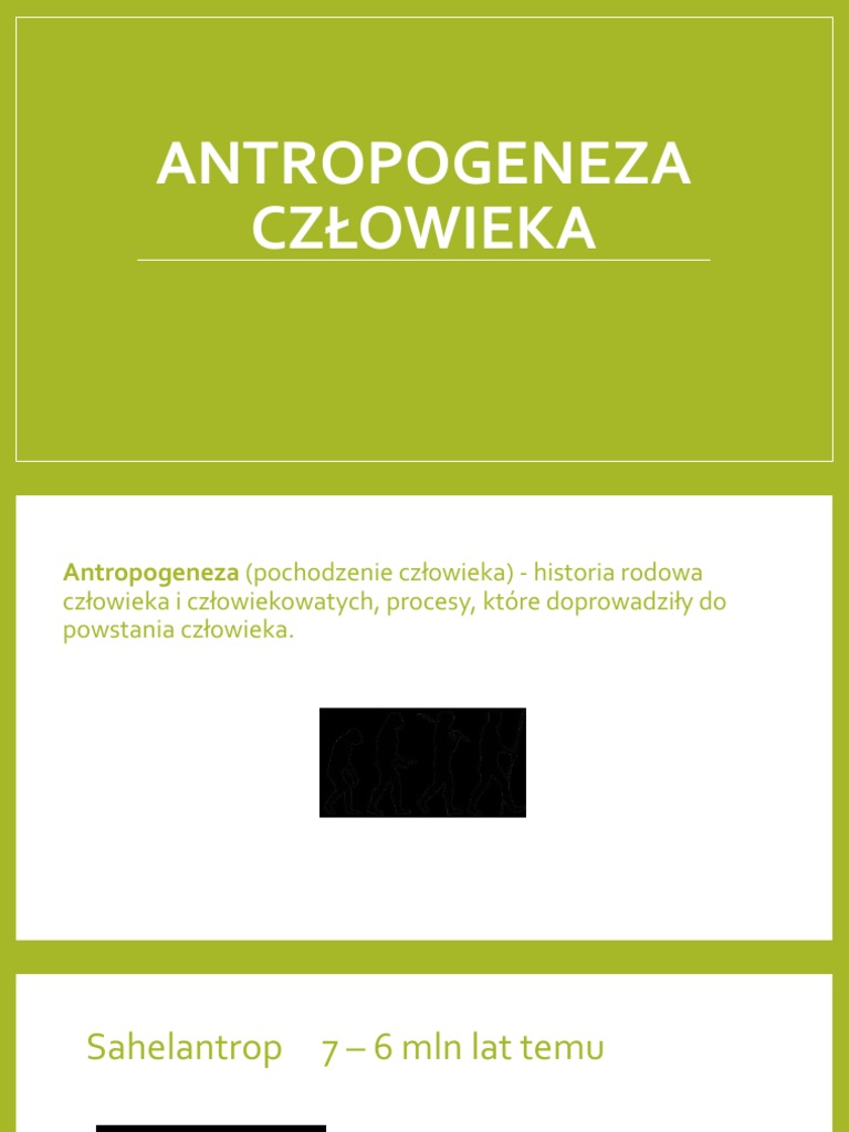 Antropogeneza Człowieka | PDF