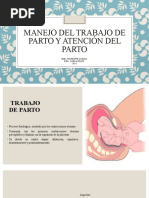 Maniobra de Ritgen | PDF | Parto | Reproducción