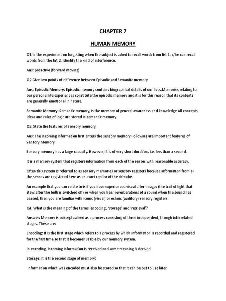 Understanding Human Memory | PDF | Memory | Recall (Memory)