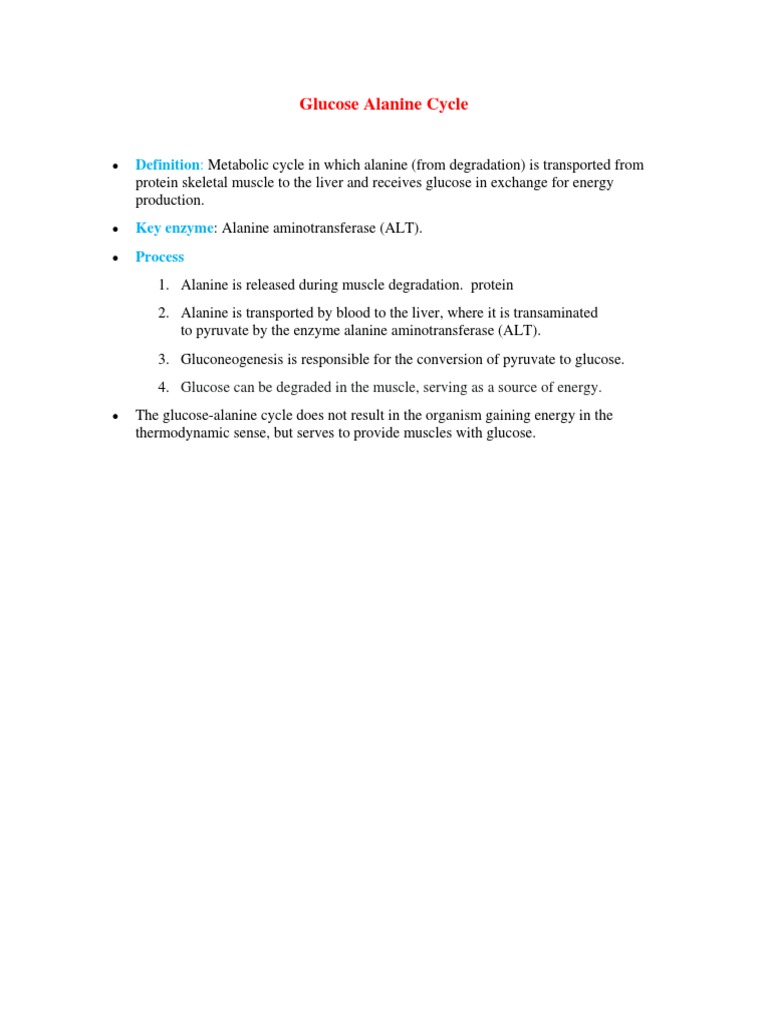 Glucose Alanine Cycle 11 | PDF | Cooking, Food & Wine | Wellness