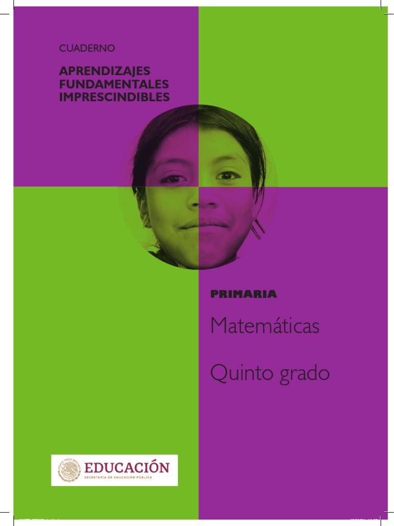 Mat5 PP | PDF | Evaluación | Aprendizaje