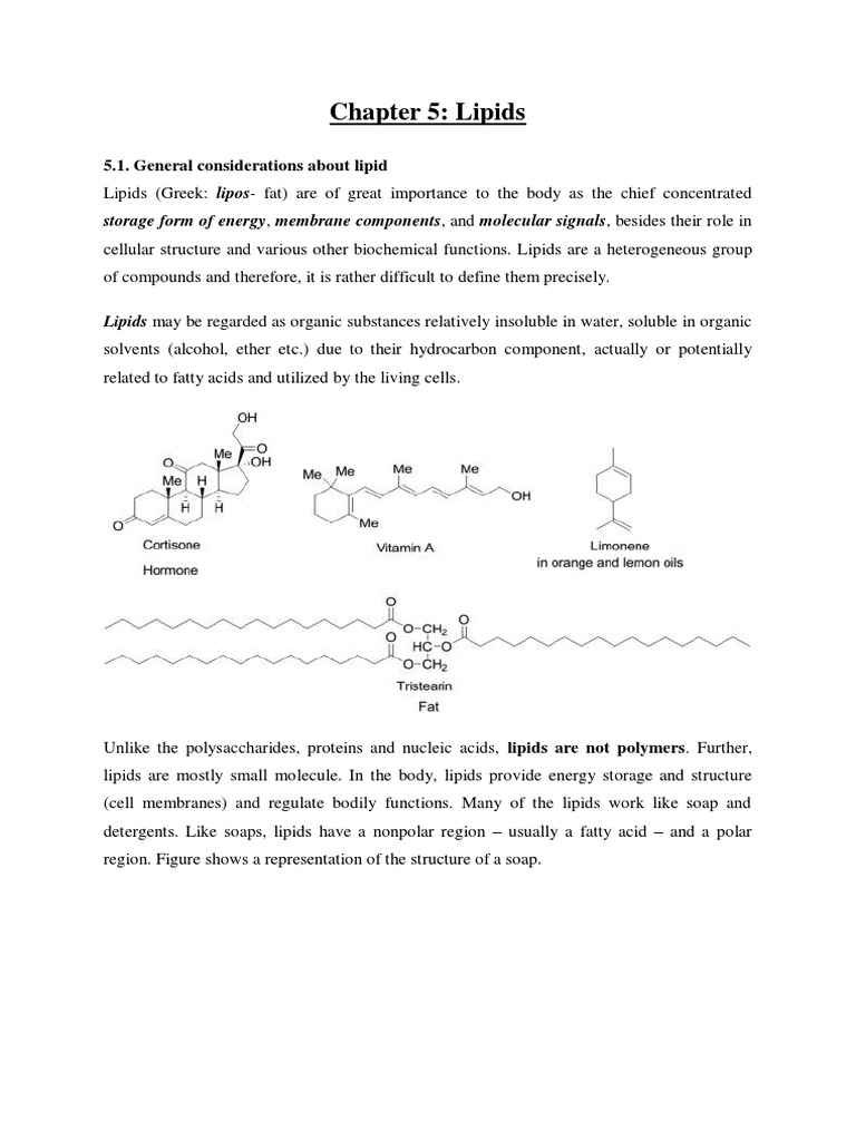 Chapter 5: Lipids: 5.1. General Considerations About Lipid | PDF | Lipid | Fatty Acid