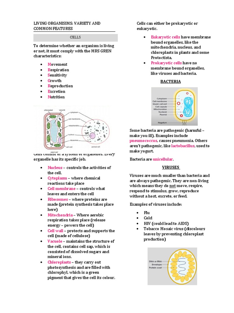 Edexcel IGCSE Biology: Organisms Overview | PDF | Leaf | Photosynthesis