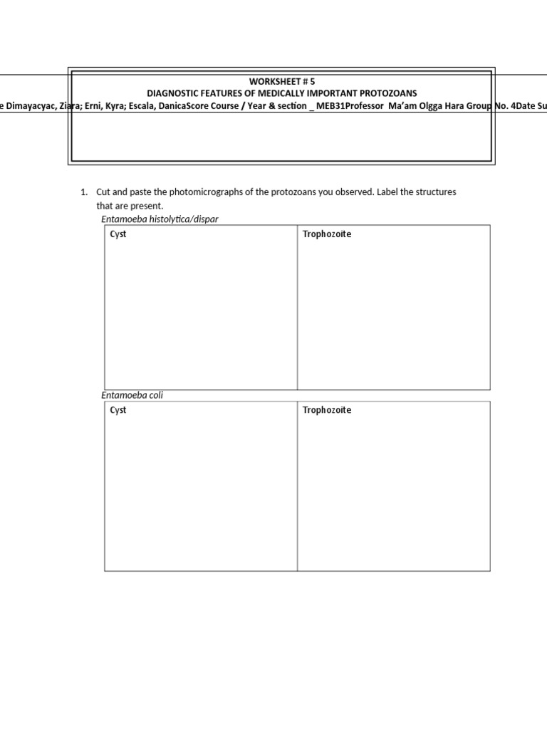 Worksheet 5 - Diagnostic Features of Medically Important Protozoans ...