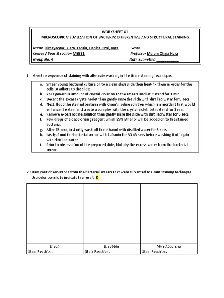 Worksheet 1 Microscopic Visualization of Bacteria Differential and ...