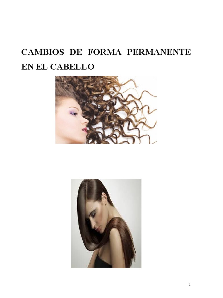 Teoría de Cambio de Forma Permanente | PDF | Pelo | Productos cosméticos