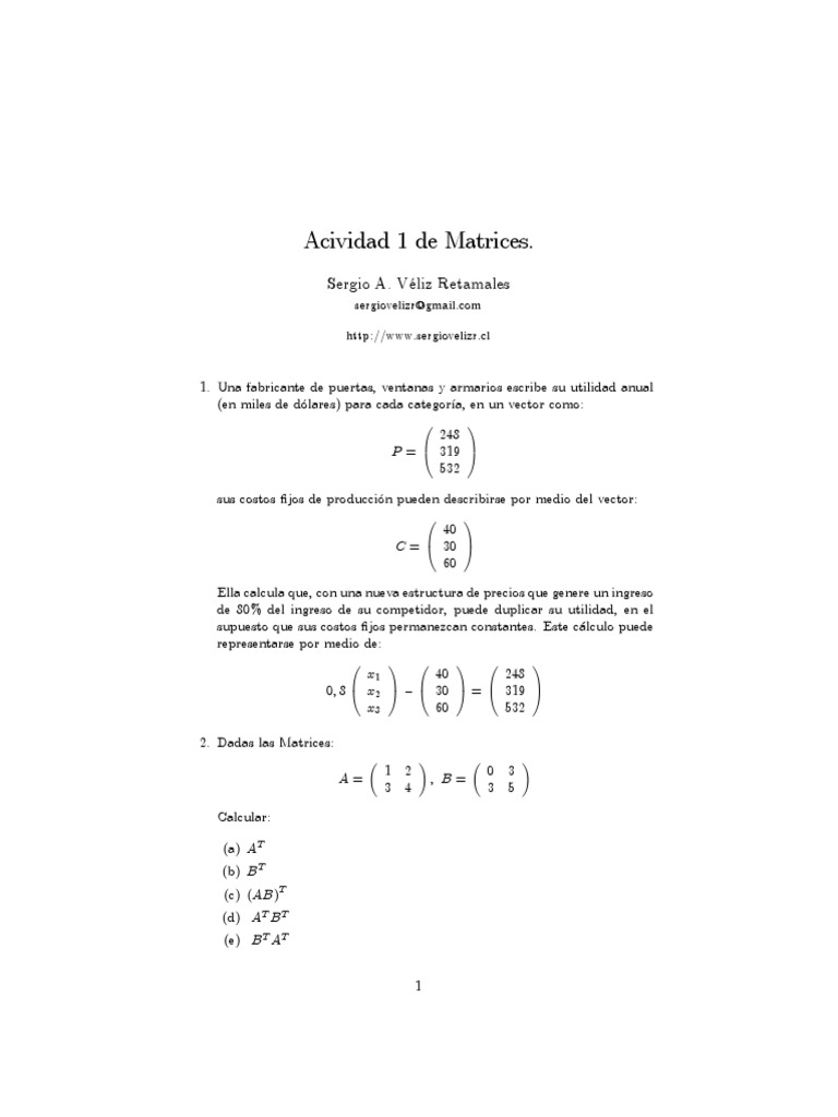 Actividad 1 - Matrices | PDF | Matriz (Matemáticas) | Funciones y mapeos