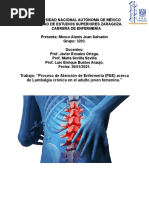 Posición de Roser o Proetz | PDF | Inflamación | Biología Celular)