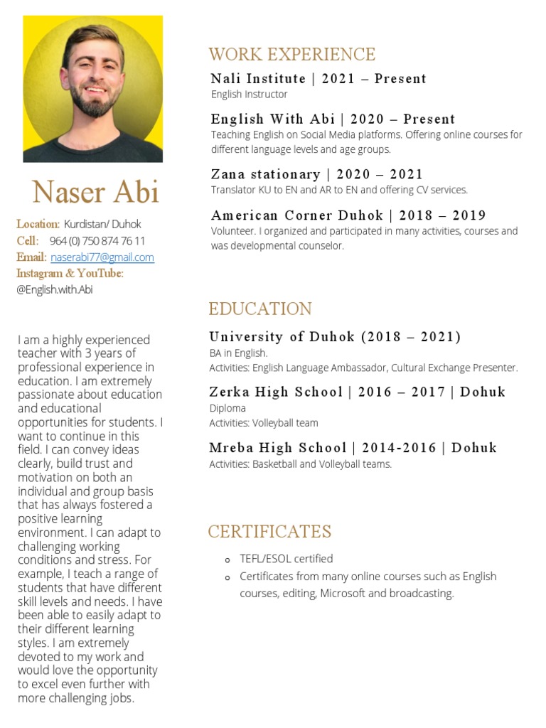 Naser Abi CV Updated | PDF | Educational Technology | Teachers