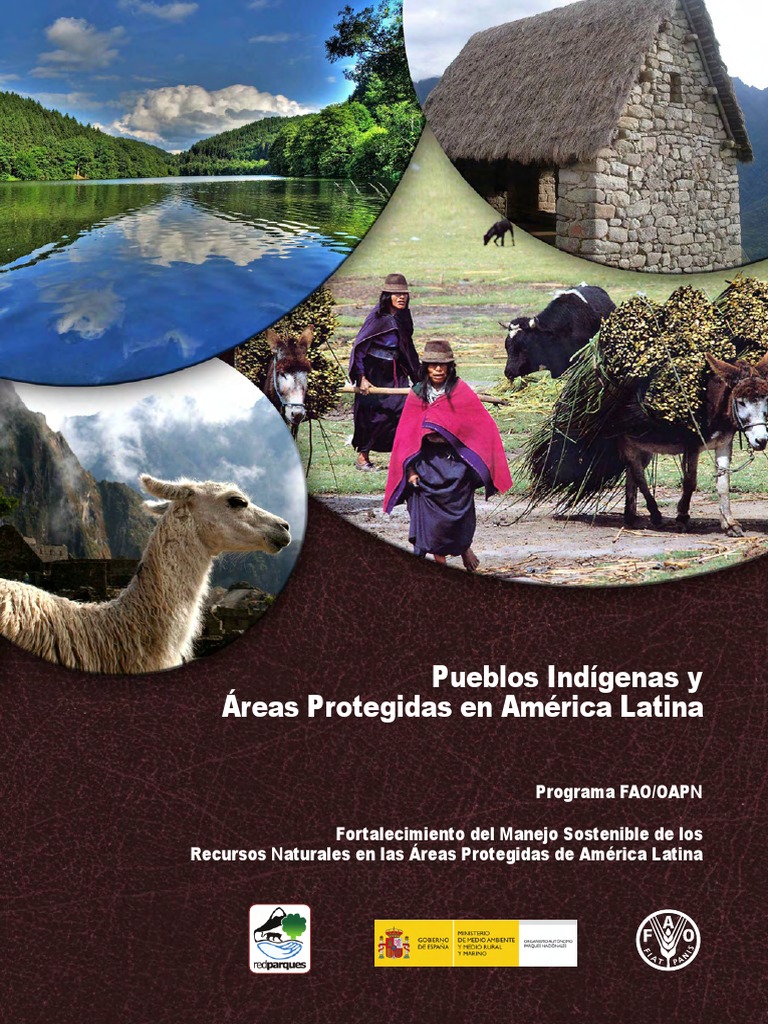 Pueblos Indigenas y Areas Protegidas en America Latina | PDF | Gente indígena | Organización de ...