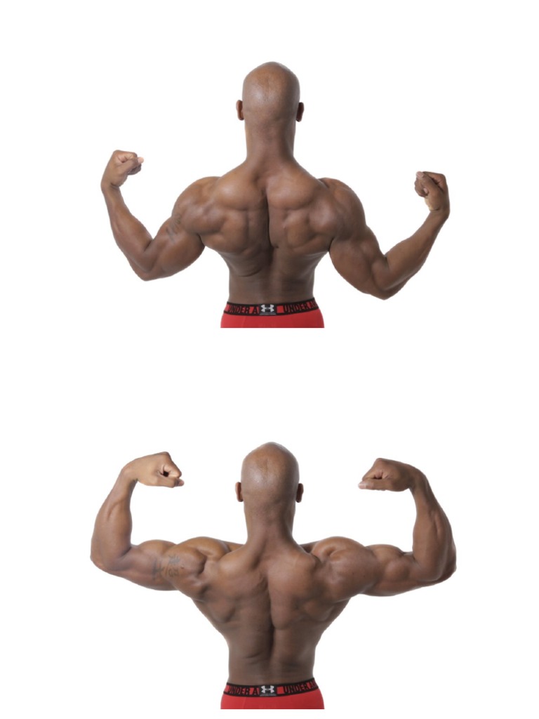 Refs - Hands - Proko - Anthony - 01 | PDF