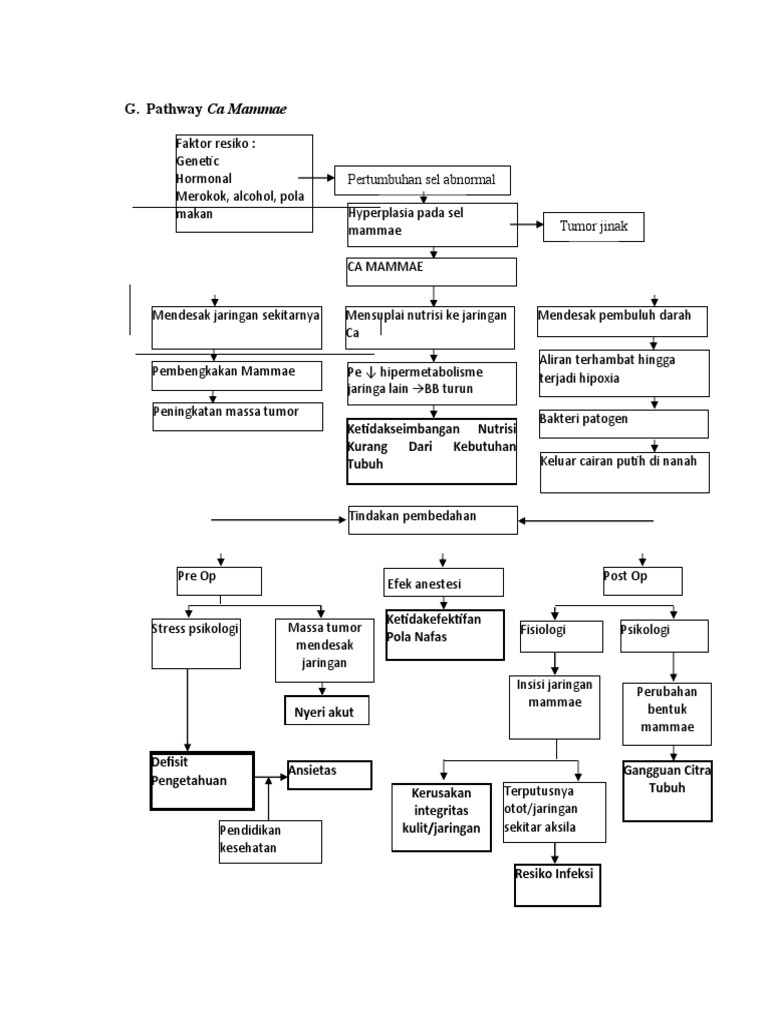 Pathway Ca Mammae TERBARU | PDF