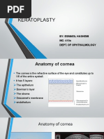 Papilledema Grading System (Frisen Scale) | PDF