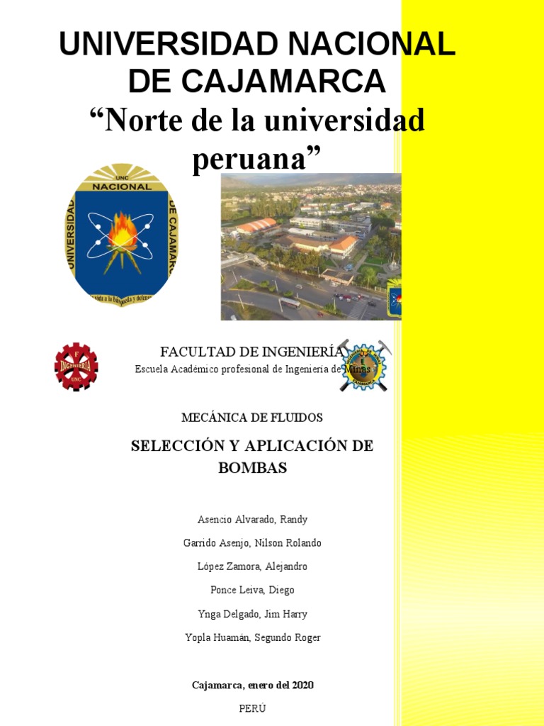 Selección y Aplicación de Bombas | PDF | Bomba | Pistón