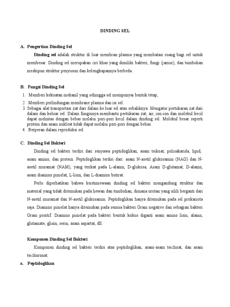 Dinding Sel | PDF