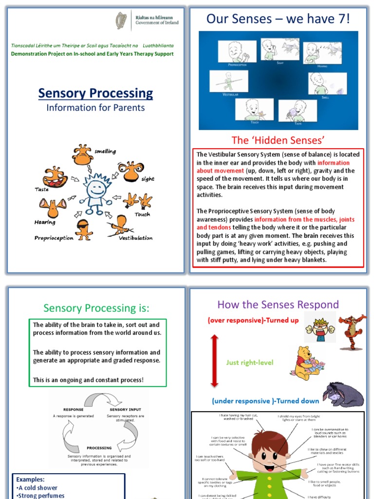 Sensory Processing Booklet For Parents | PDF | Senses | Somatosensory ...