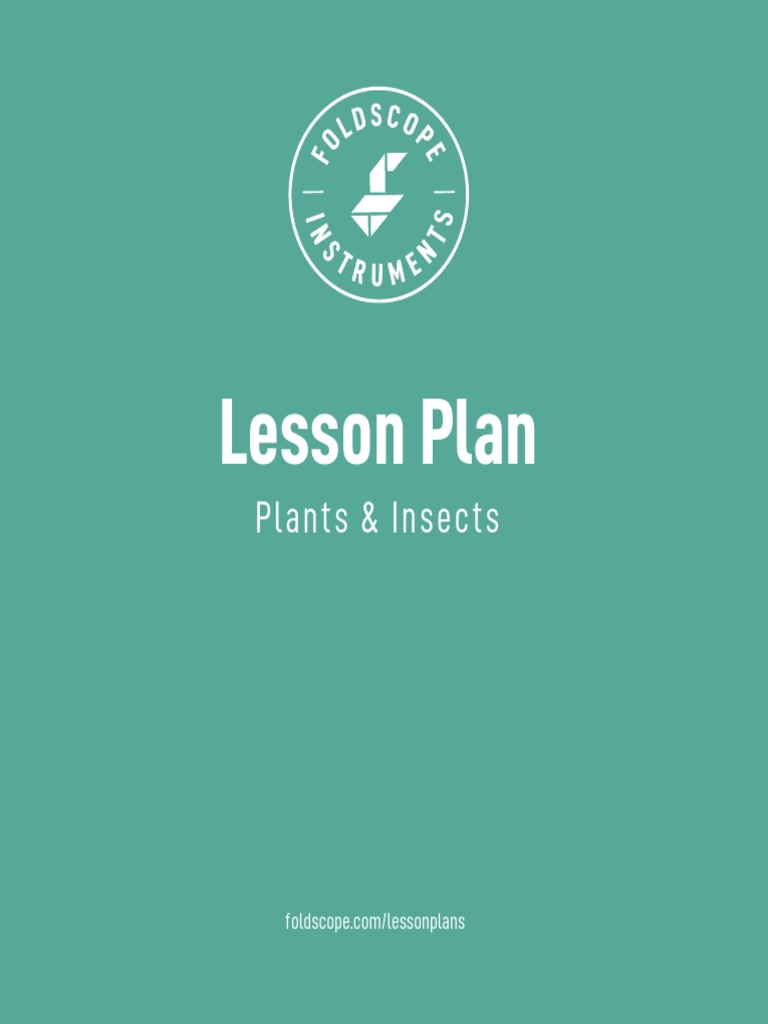 Lesson Plan: Plants & Insects | PDF | Flowers | Seed