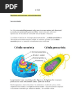 Qué y Cuáles Son Los Procesos Celulares | PDF | Metabolismo | Bicapa ...