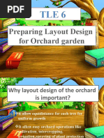 Method of Layout Orchard | PDF | Plants | Trees