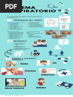 Huesos en bebés: 300 al nacer | PDF