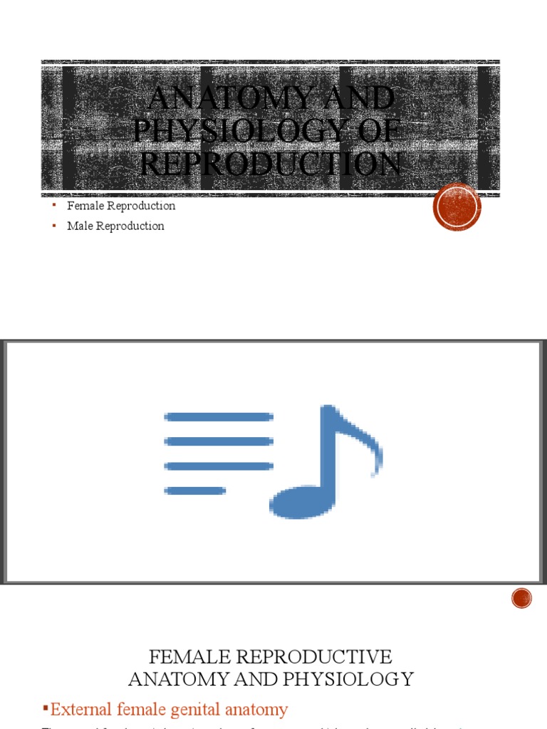 Anatomy and Physiology of Reproduction: Female Reproduction Male ...