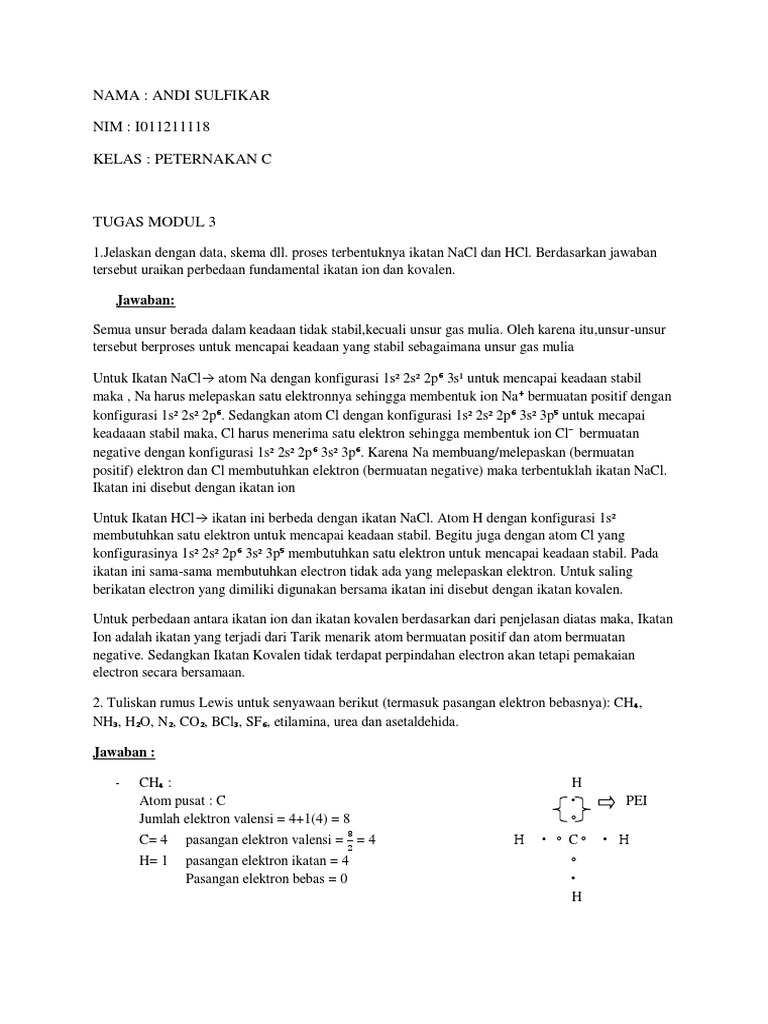 Modul 3 (Repaired) | PDF