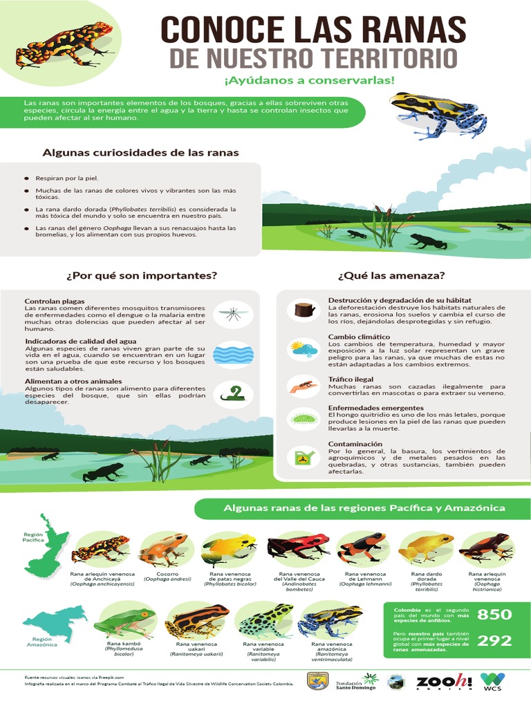 Infografia Anfibios A4 | PDF | Destrucción del habitát | Entorno natural