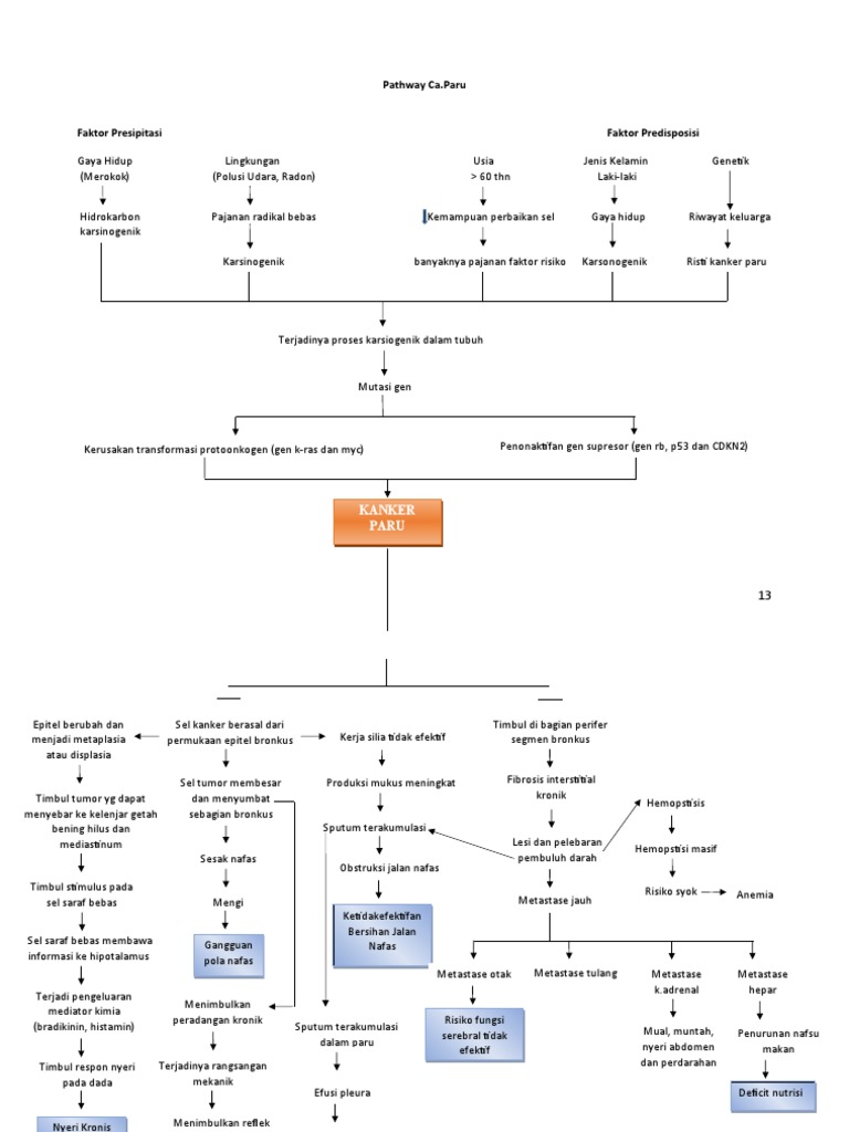 Pathway Ca PARU | PDF