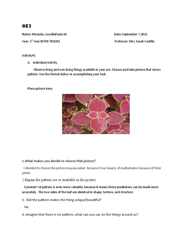 Observing Patterns in Nature | PDF | Home & Garden | Wellness