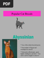 WCF Cat Color Code Guide | PDF | Cats | Animal Breeding