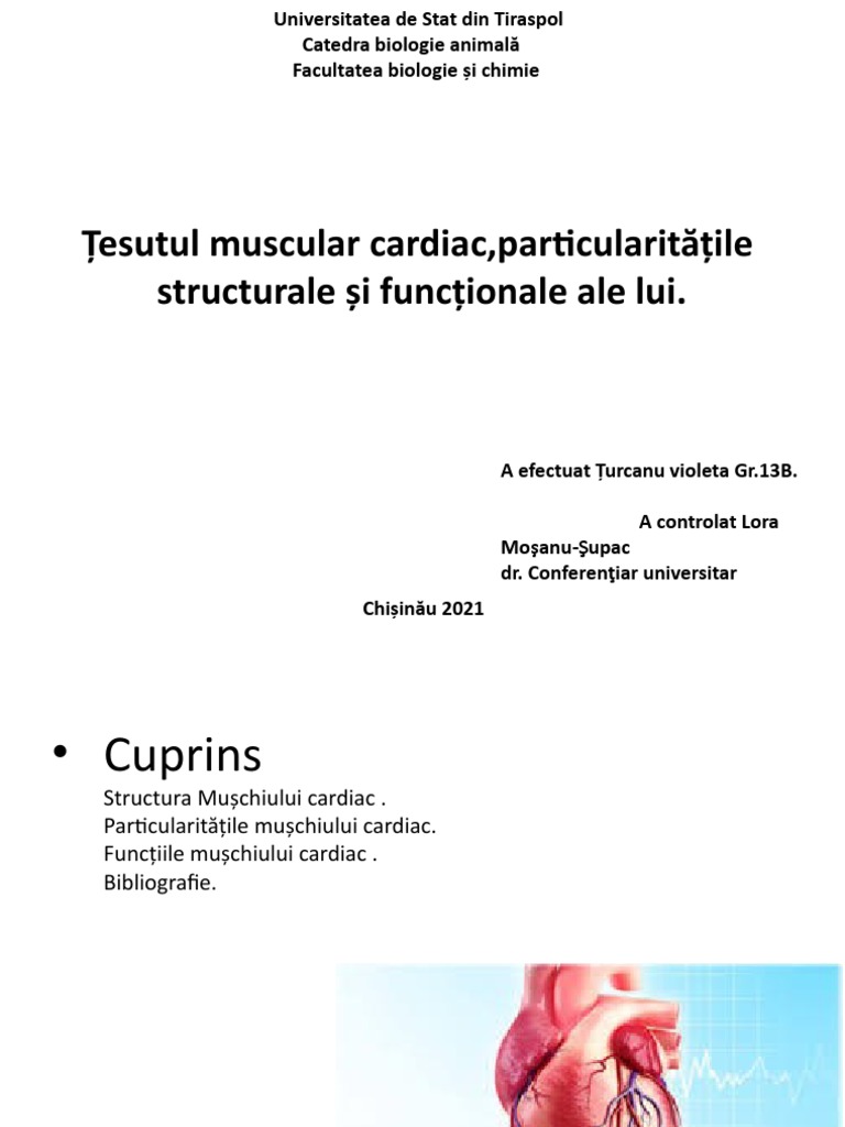 Tesutul Muscular Cardiac | PDF