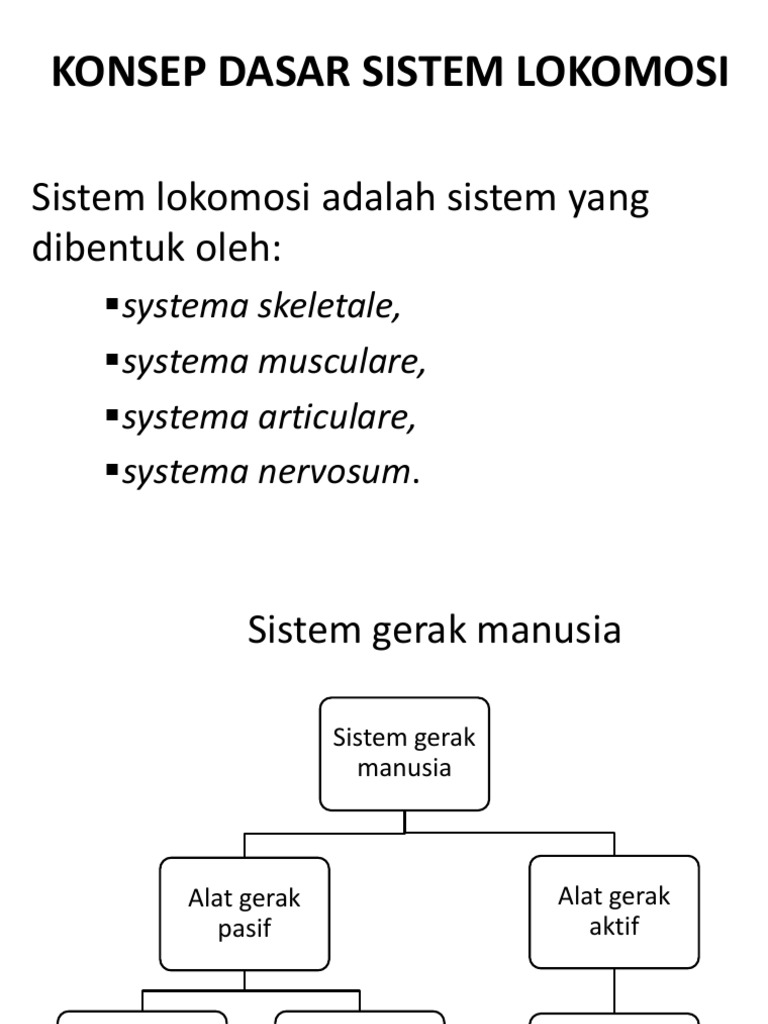 Sistem Tulang - KINESIOLOGI | PDF | Ilmu Sosial