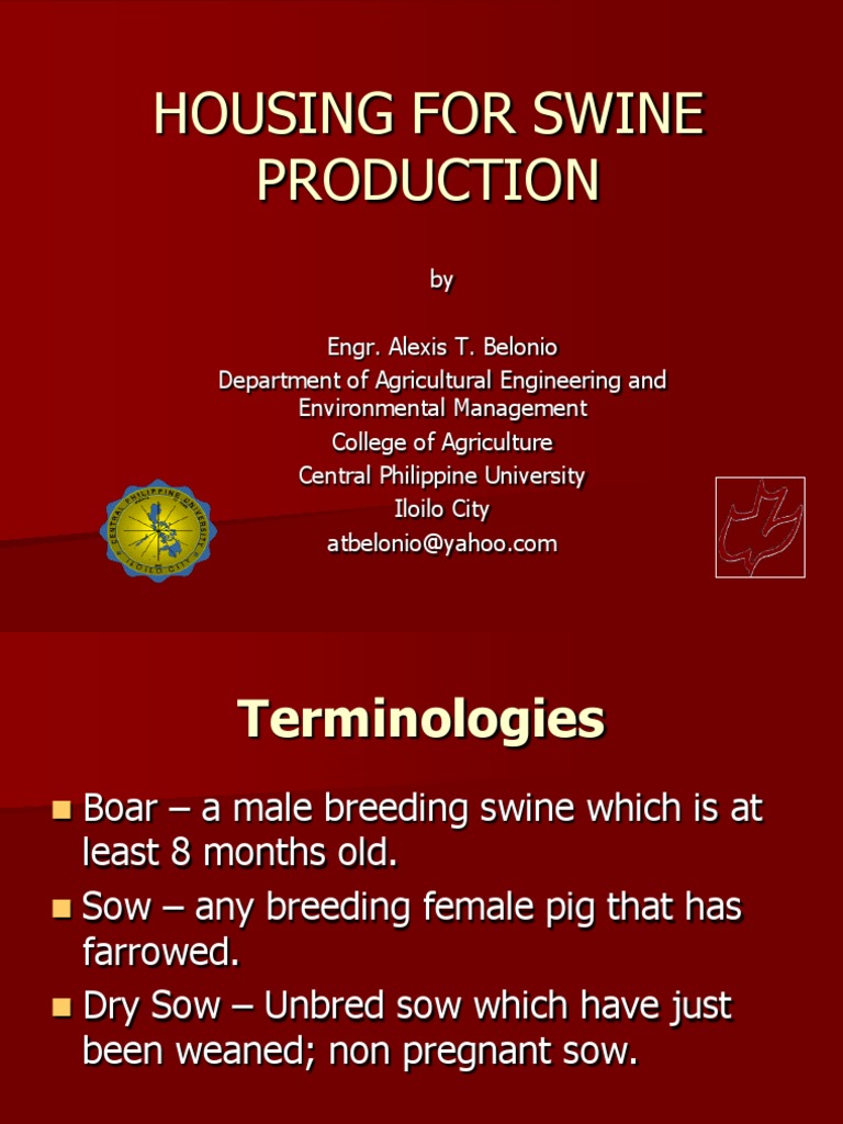 Chapter 10 - Swine House | PDF | Domestic Pig | Pig