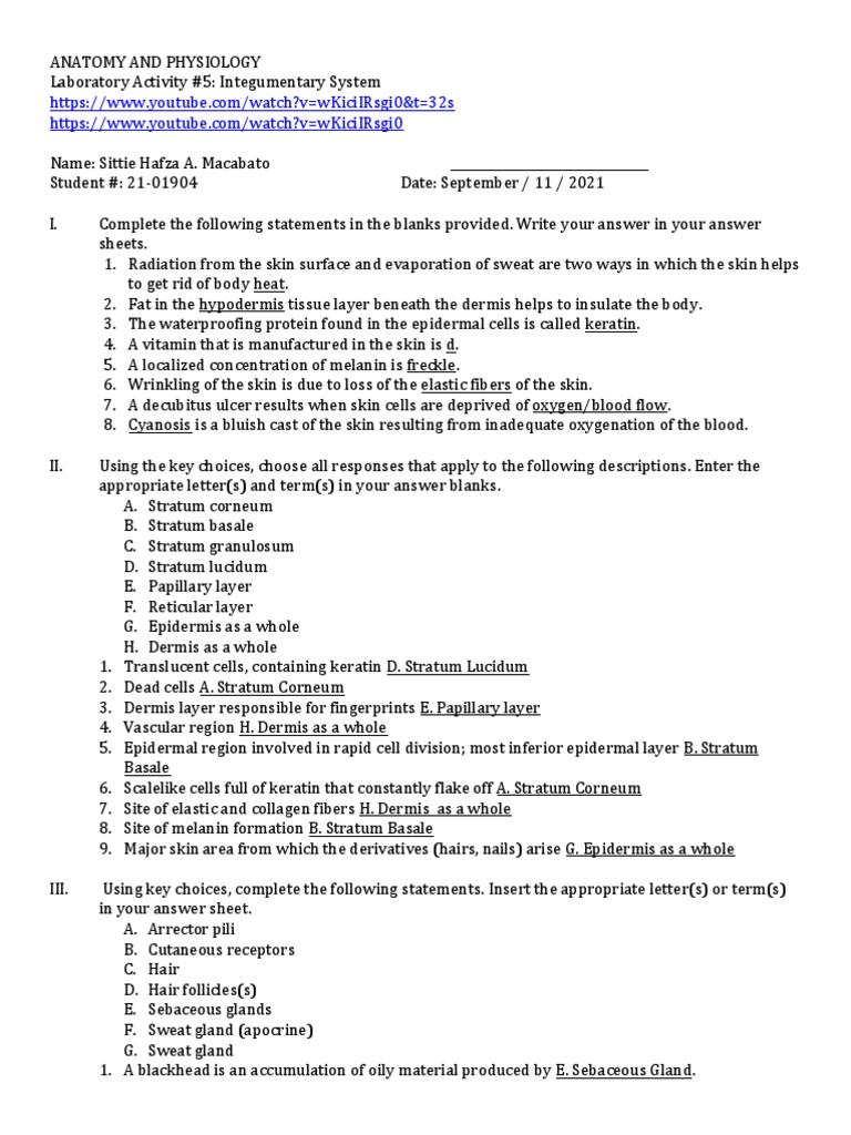 ANA PHY Lab Activity 5 Integumentary System | PDF | Skin ...