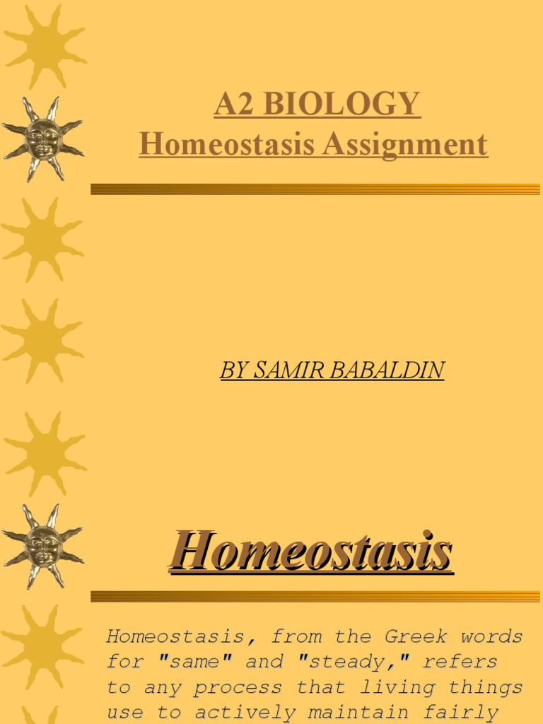A2 Biology Homeostasis Assignment | PDF
