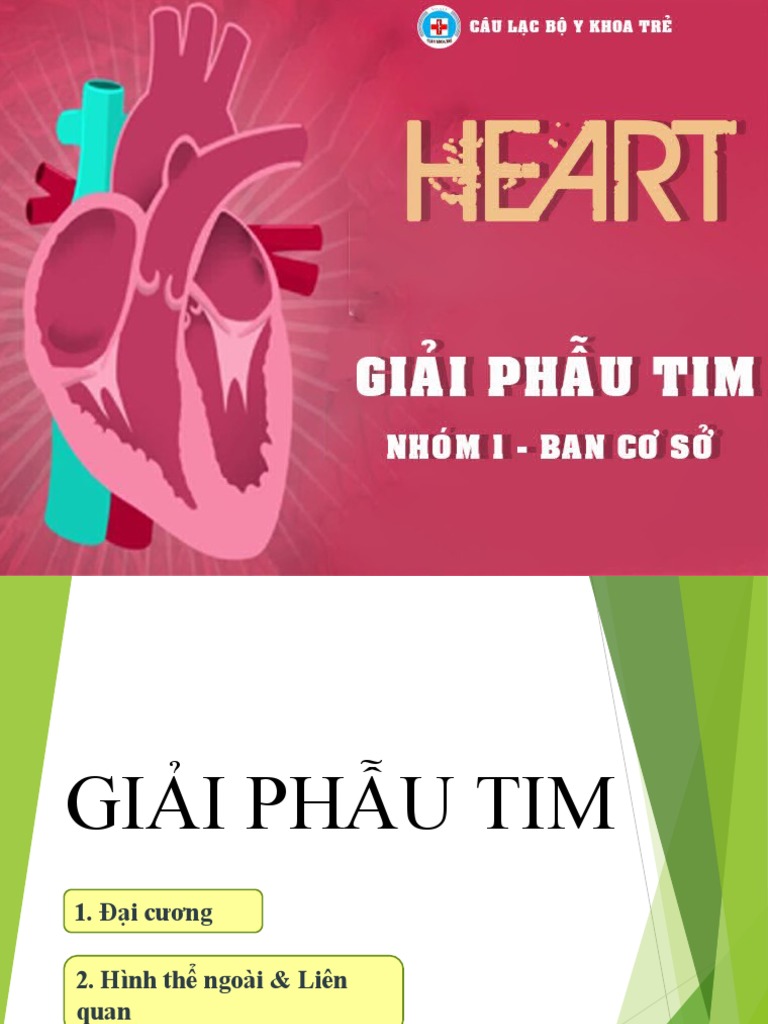 GP Tim | PDF