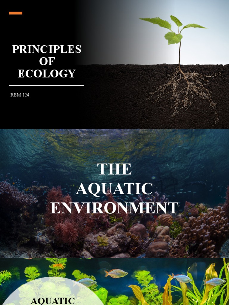 Aquatic Ecosystems Overview | PDF | Science & Mathematics