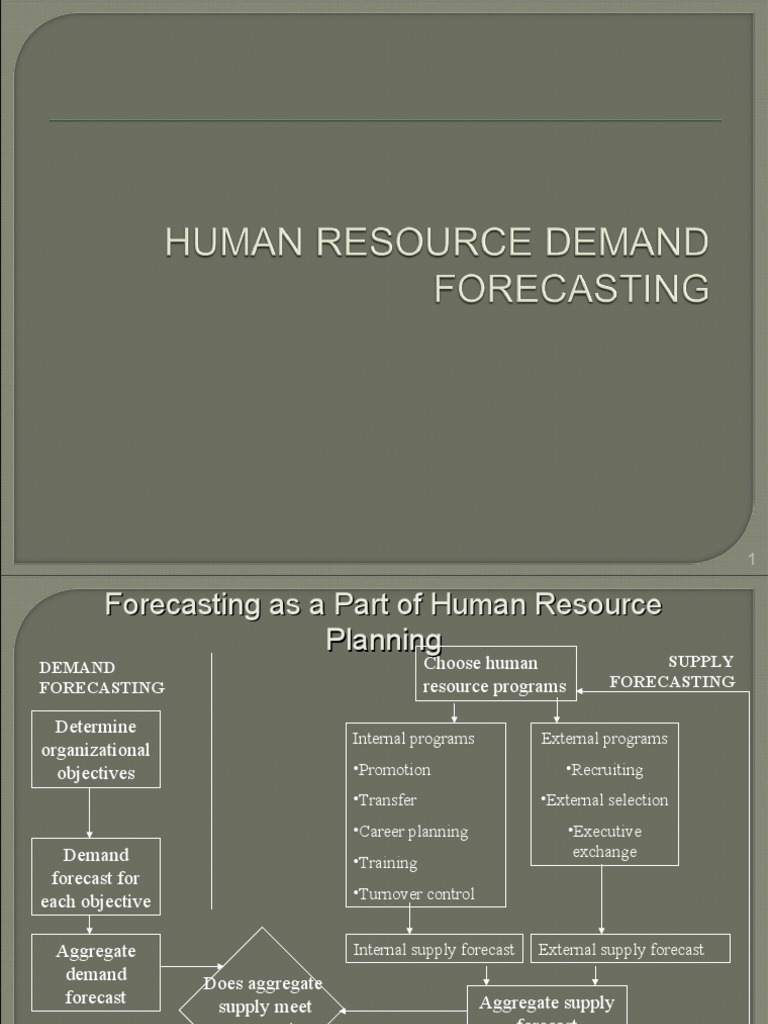 HR Demand Forecasting Techniques | PDF | Forecasting | Human Resources