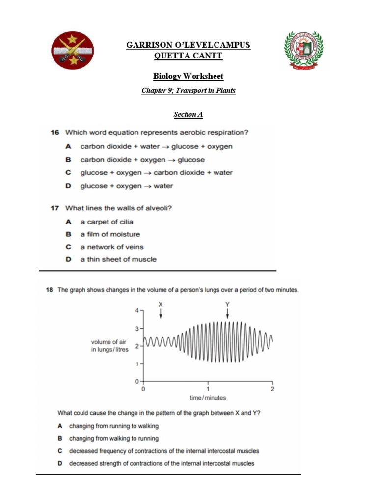 Biology-Chapter 10 Respiration Worksheet | PDF